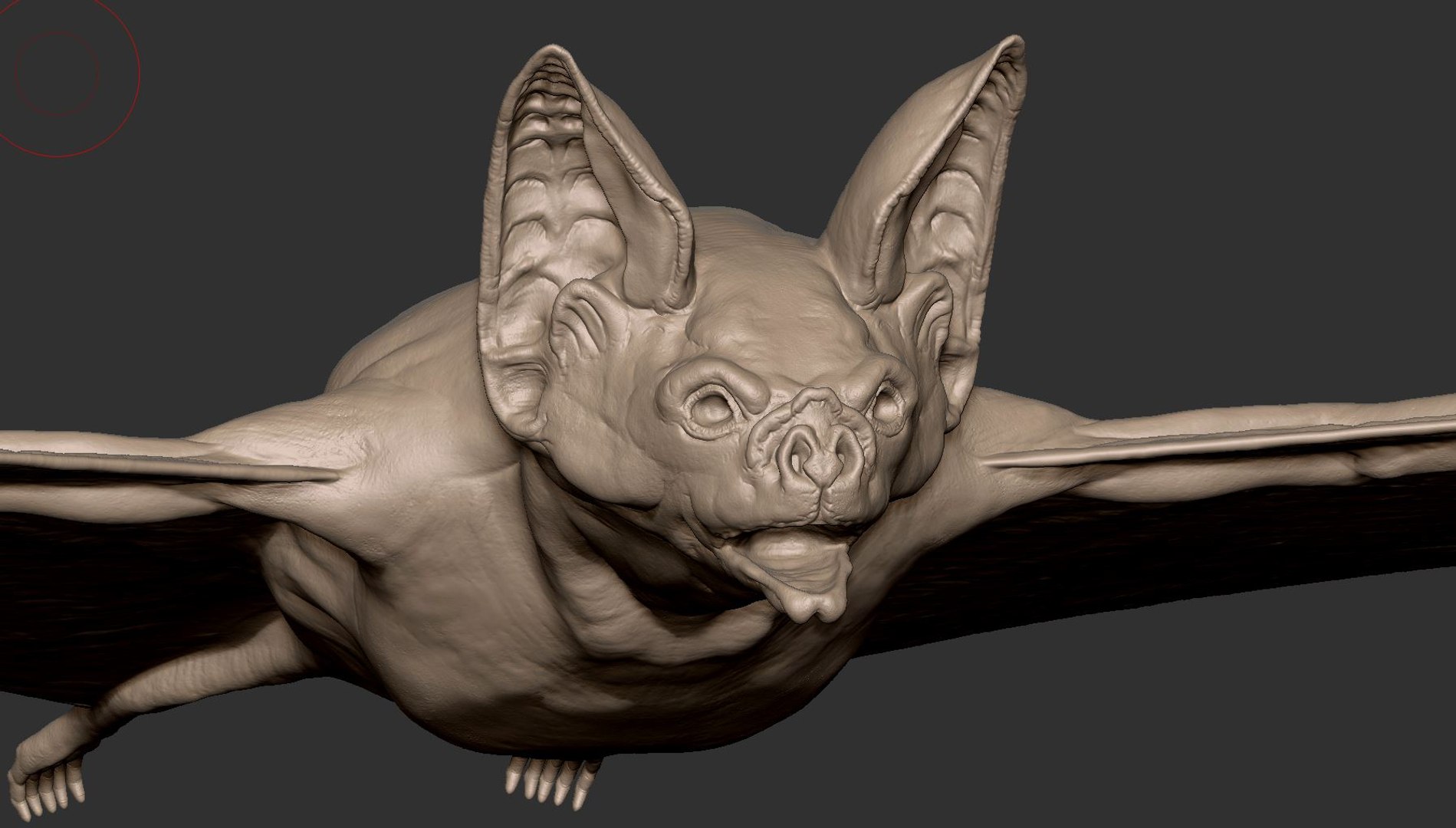 vampire bat 3d model