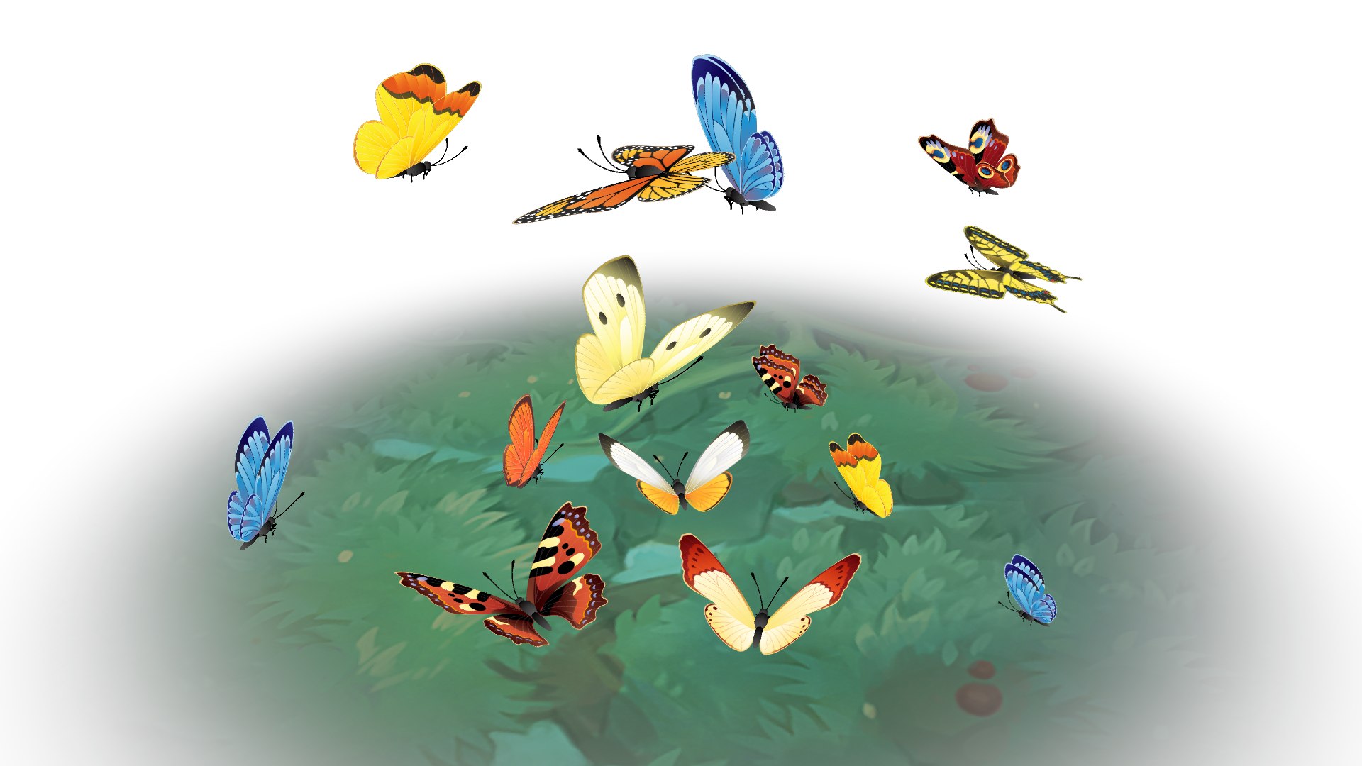 Animations Butterfly Fbx