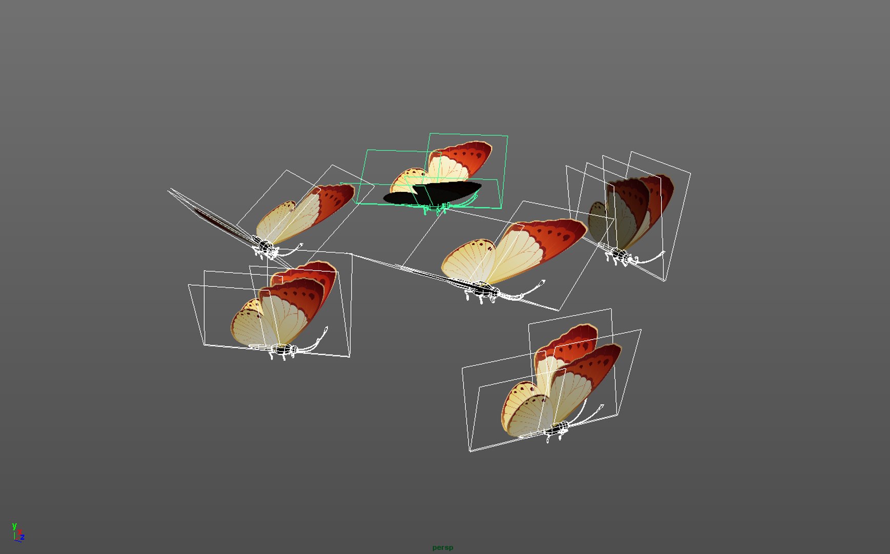 Animations Butterfly Fbx