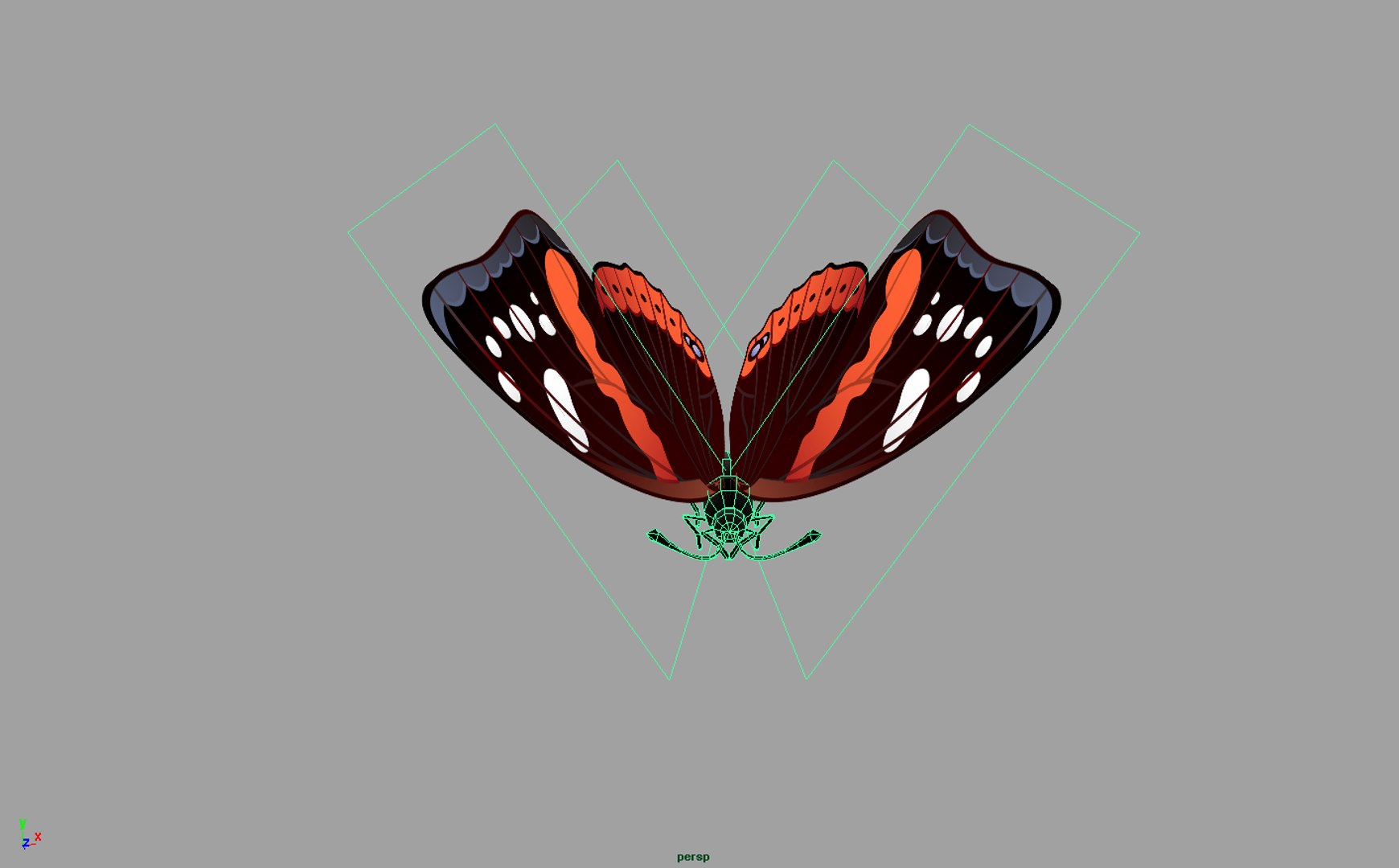 Animations Butterfly Fbx