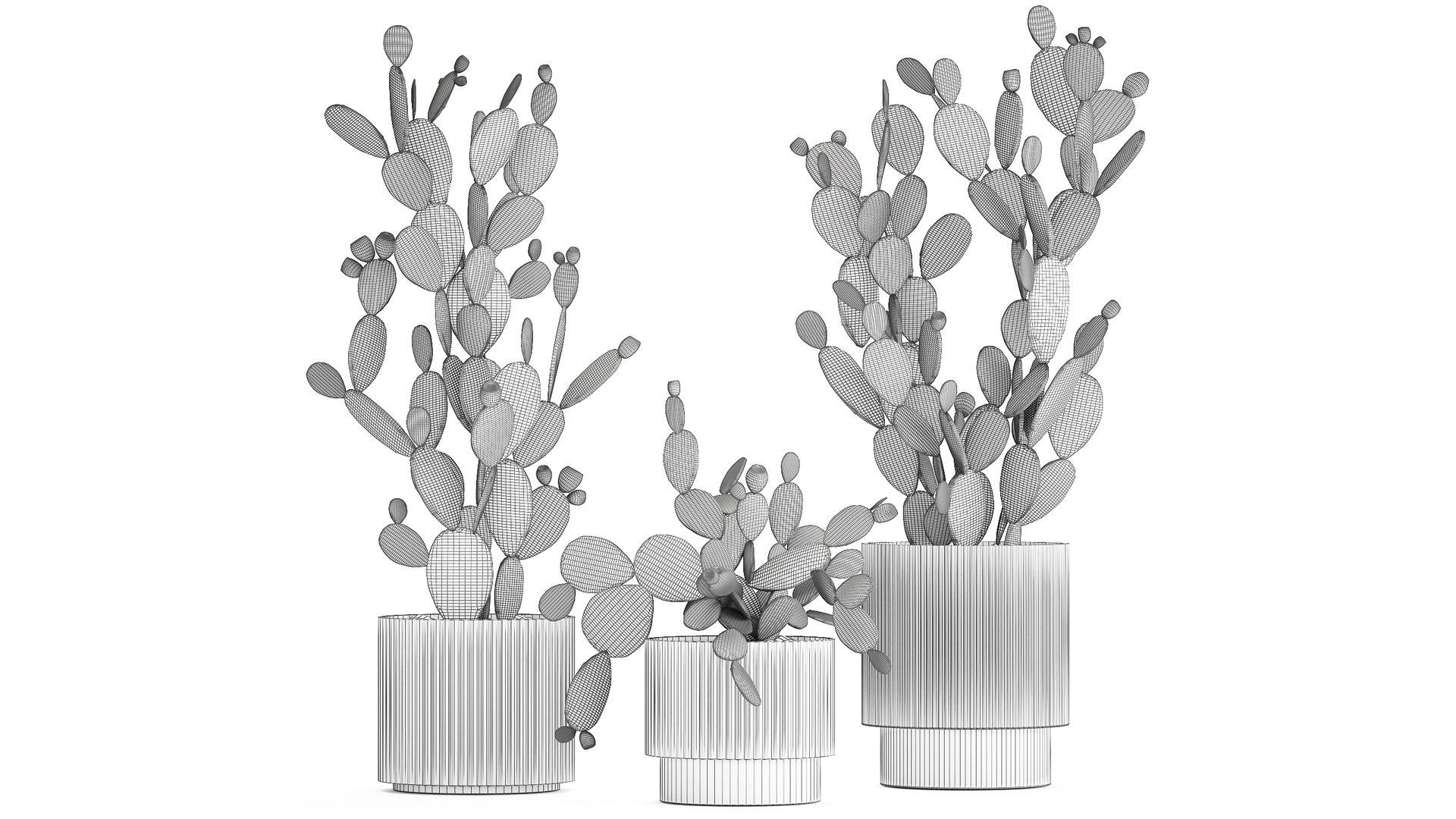 3D Set Of Cacti In White Pots With Prickly Pear Cactus 1475 ...