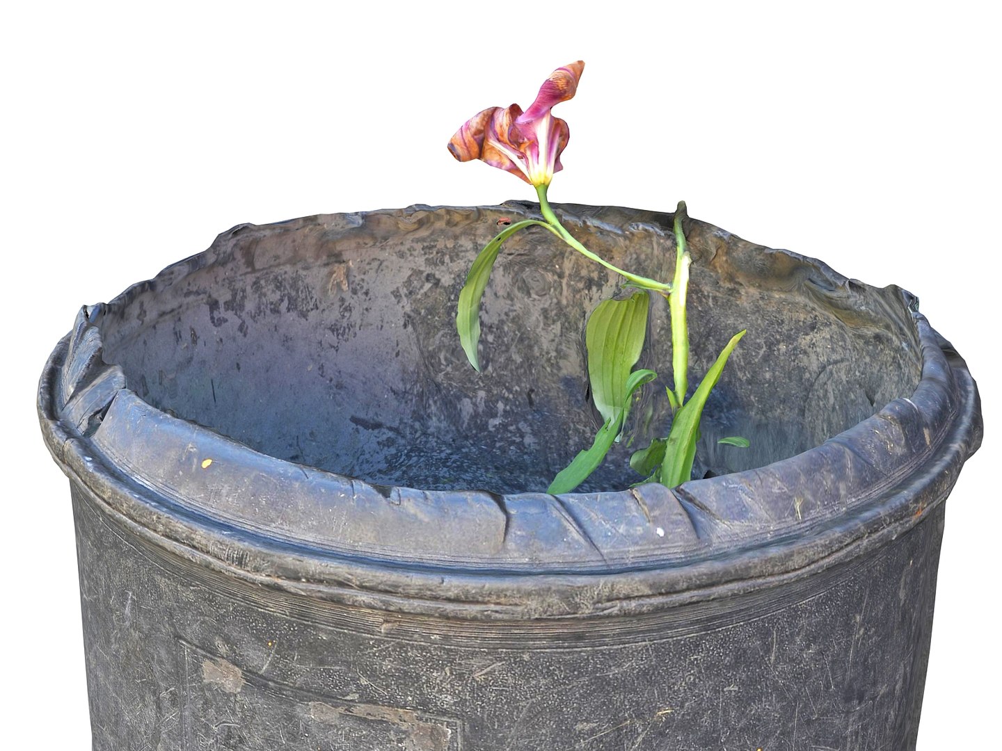 Litter Bin Barrel Mexico 3D - TurboSquid 1492243