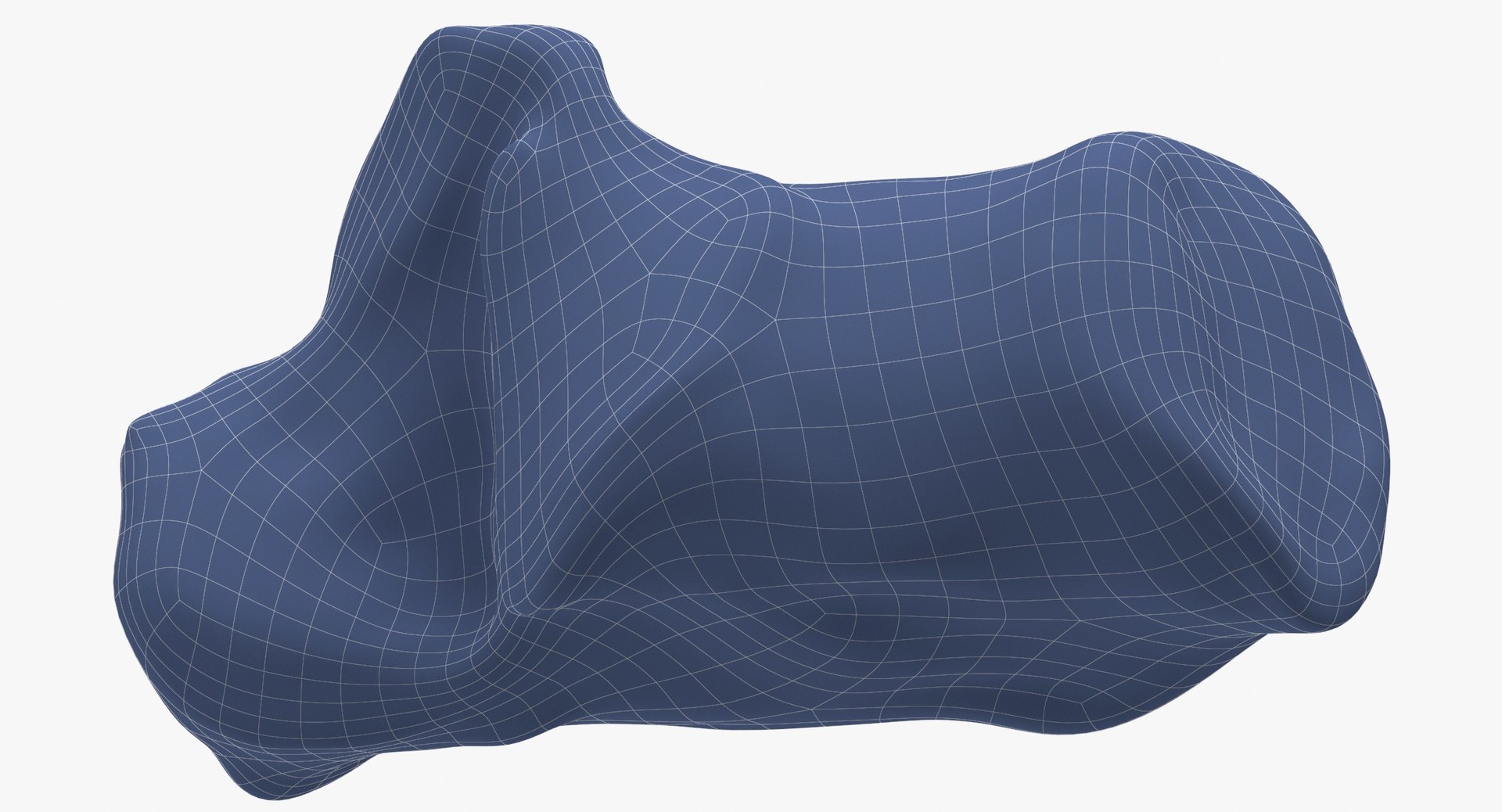 3D calcaneus bone 01 model - TurboSquid 1531495