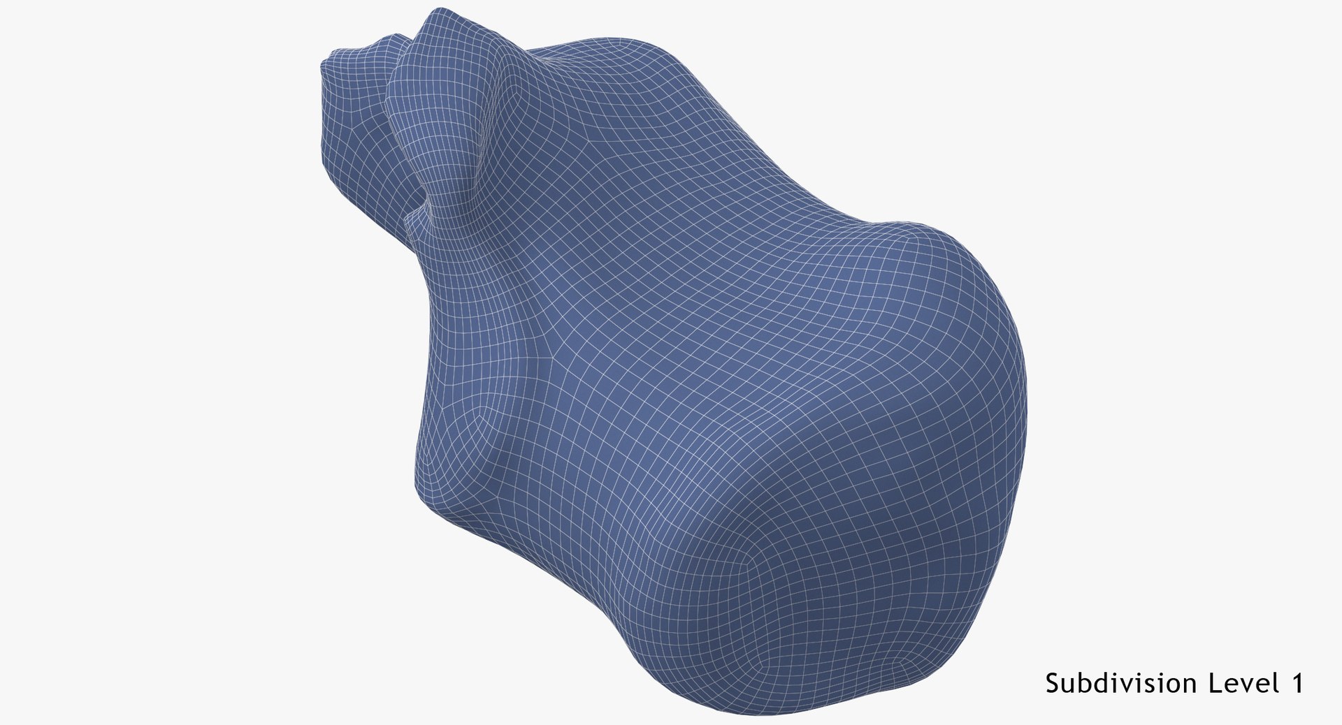 3D calcaneus bone 01 model - TurboSquid 1531495