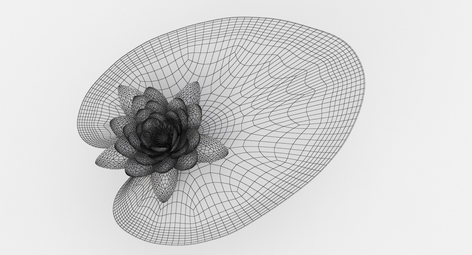 Water Lily Animation 3d Model