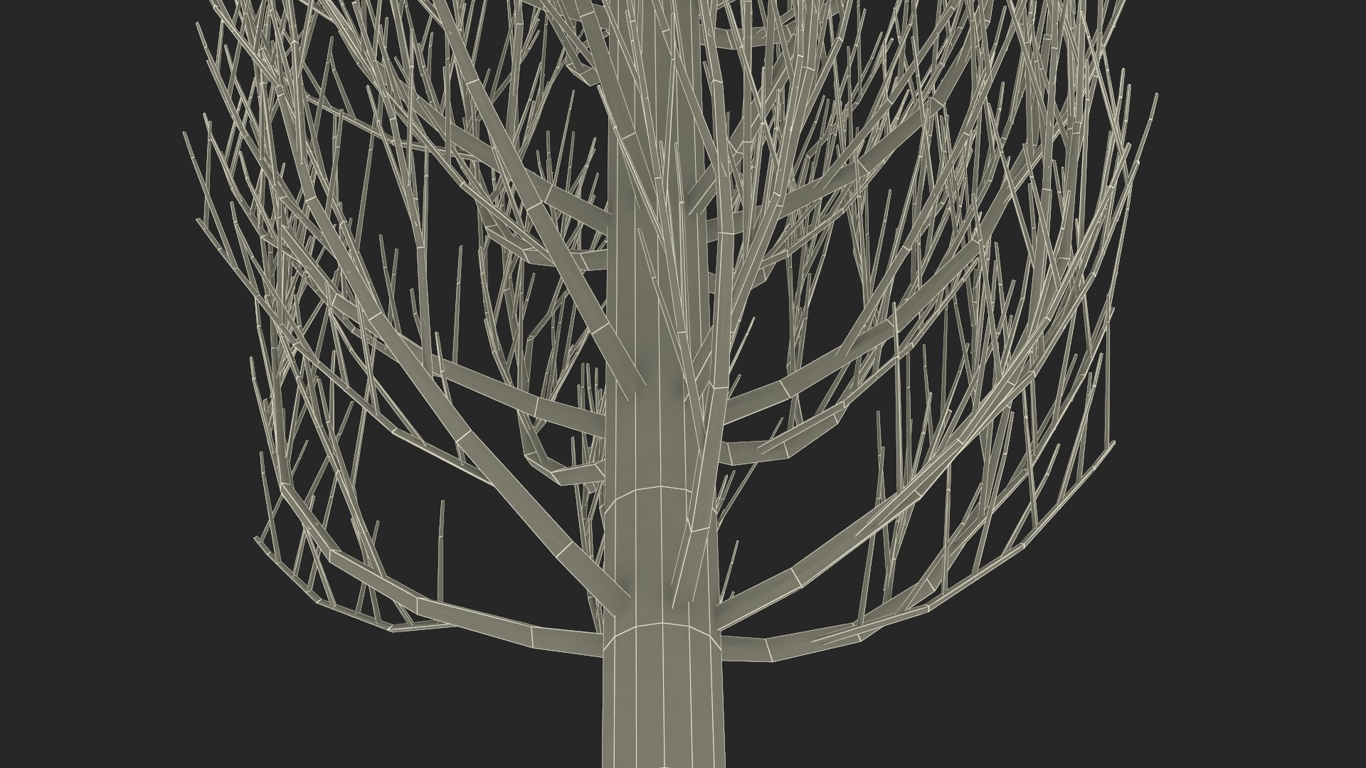 3D Realistic Cypress Tree - TurboSquid 2346156