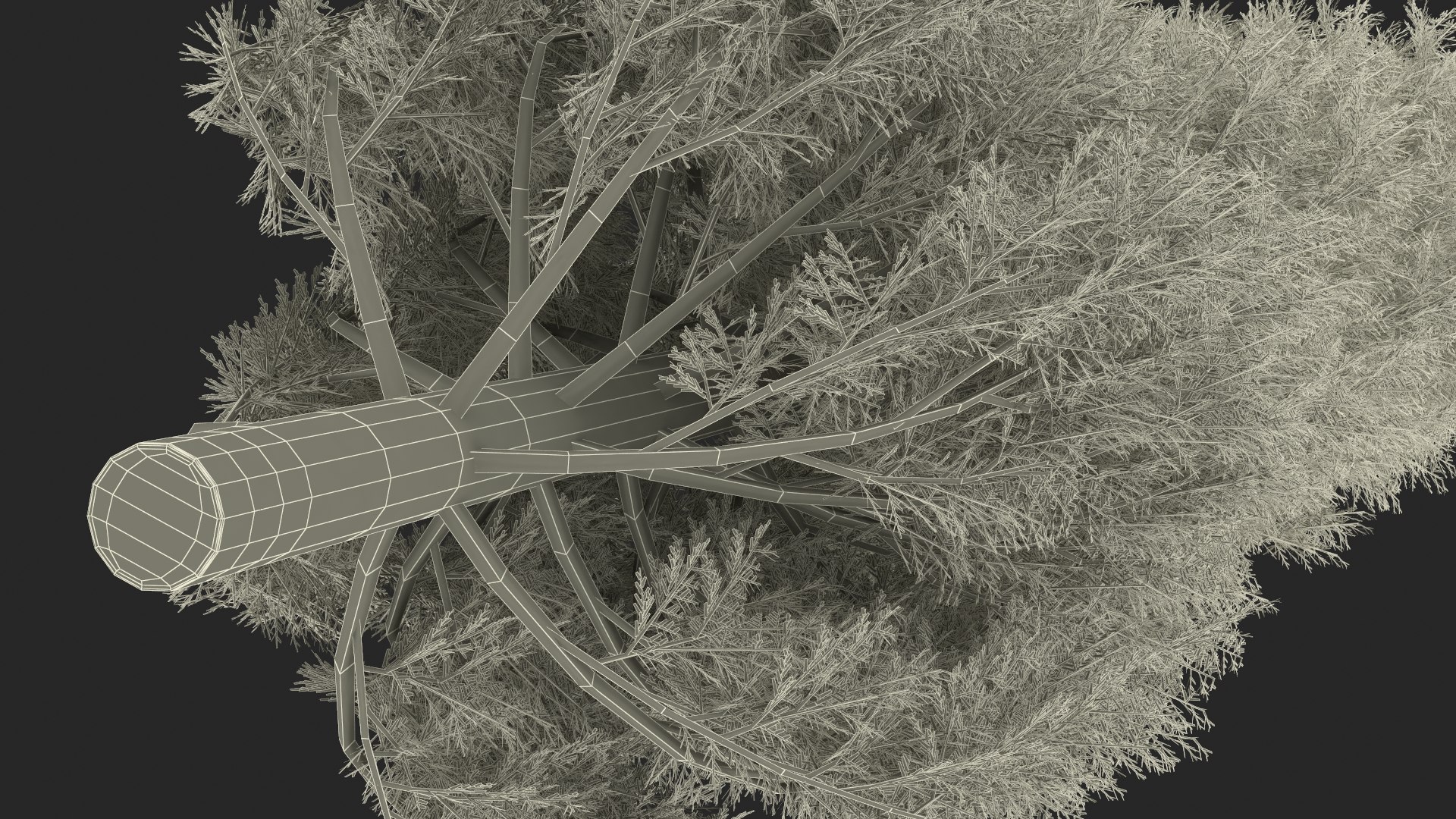 3D Realistic Cypress Tree - TurboSquid 2346156