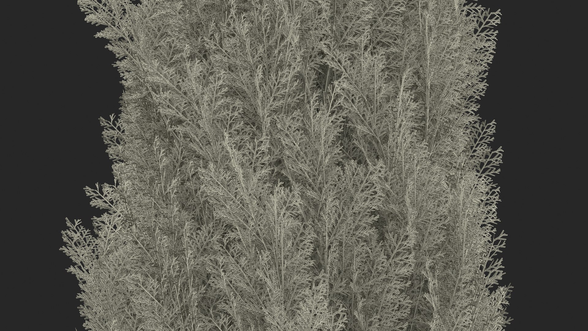 3D Realistic Cypress Tree - TurboSquid 2346156