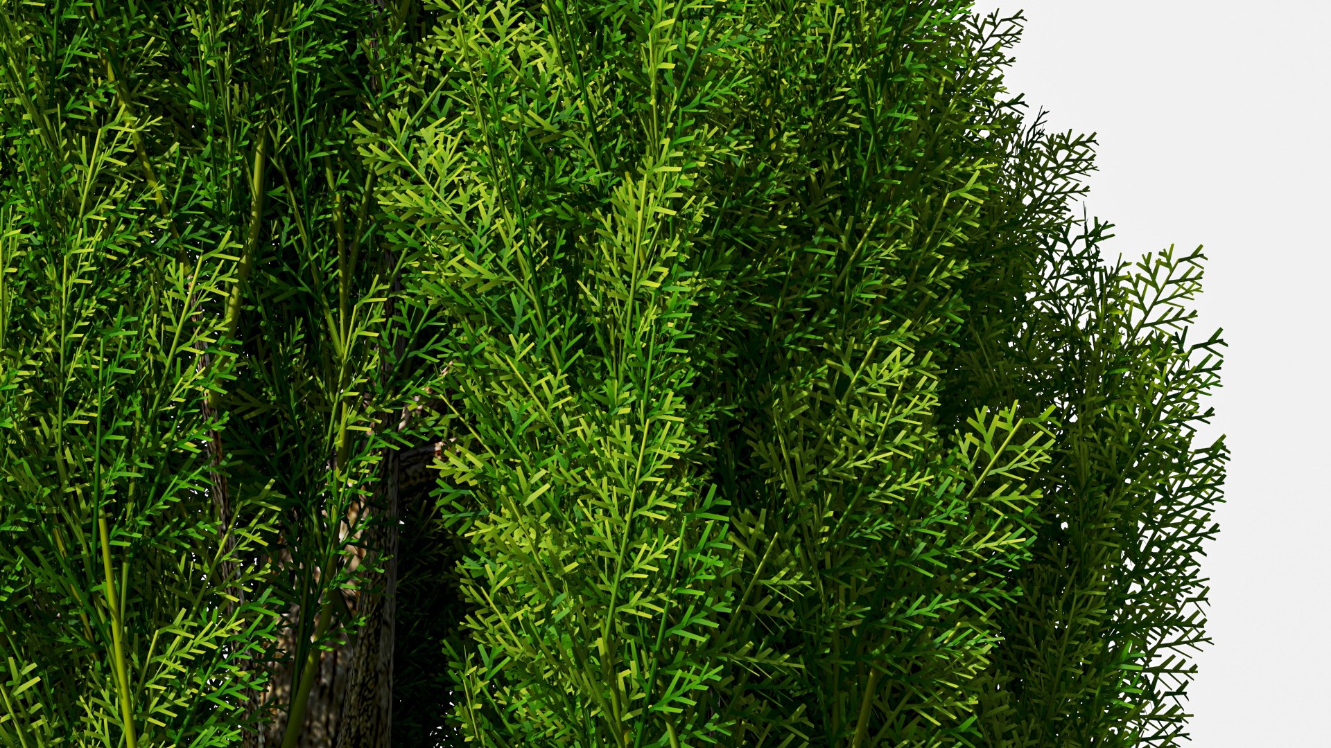 3D Realistic Cypress Tree - TurboSquid 2346156