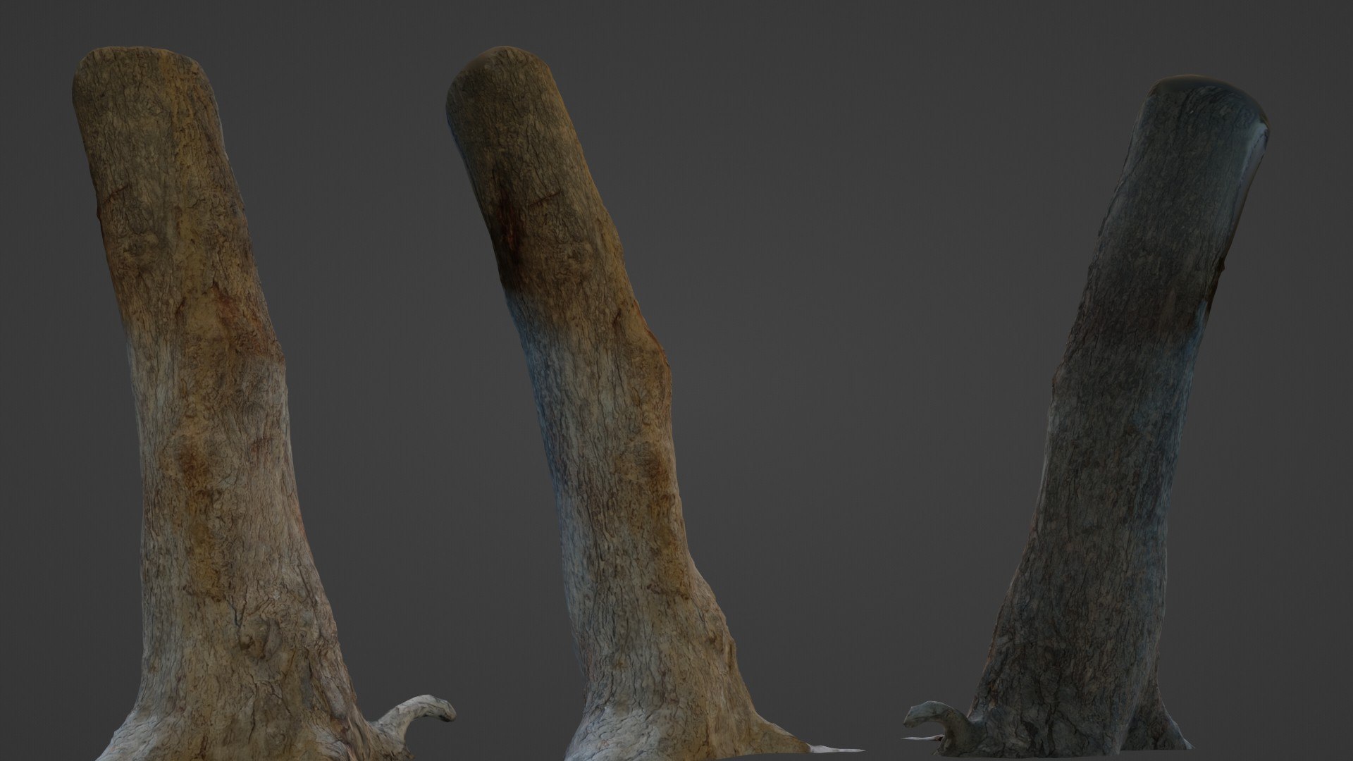 Tree Trunk 3D Model - TurboSquid 2332141