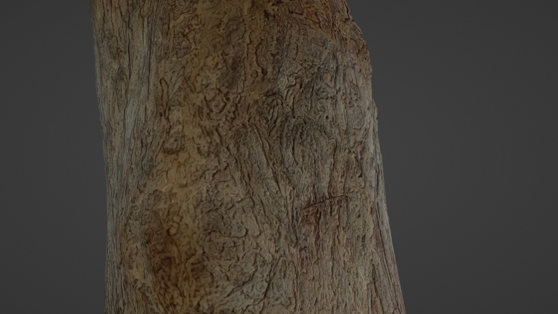 Tree Trunk 3D Model - TurboSquid 2332141