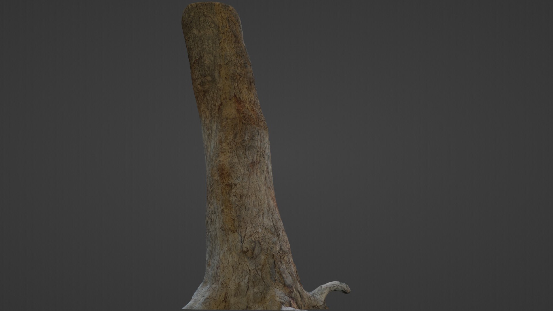Tree Trunk 3D Model - TurboSquid 2332141
