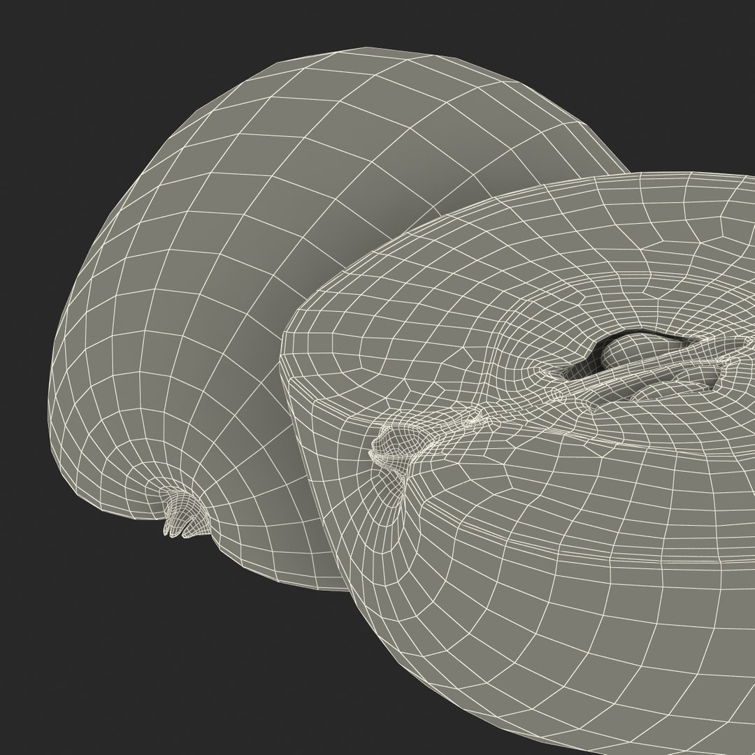 Green Apple Half 3d Model