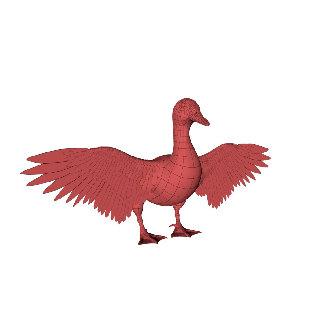 3D Model Base Mesh Duck - TurboSquid 1258014