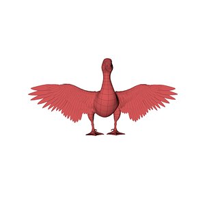 3D model base mesh stork - TurboSquid 1274376