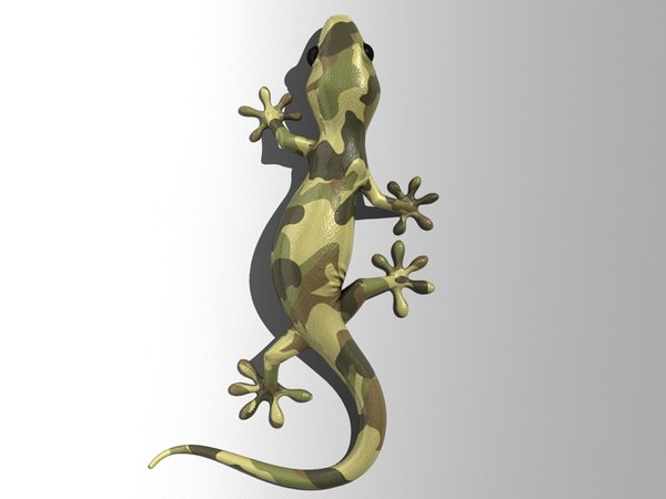 3D Gecko Models | TurboSquid