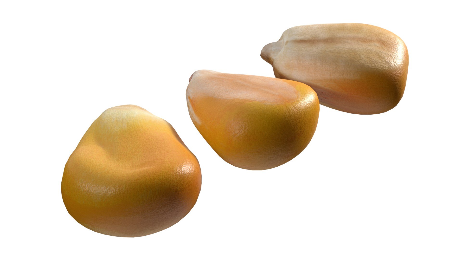 Corn Seeds 3D Model - TurboSquid 2406430