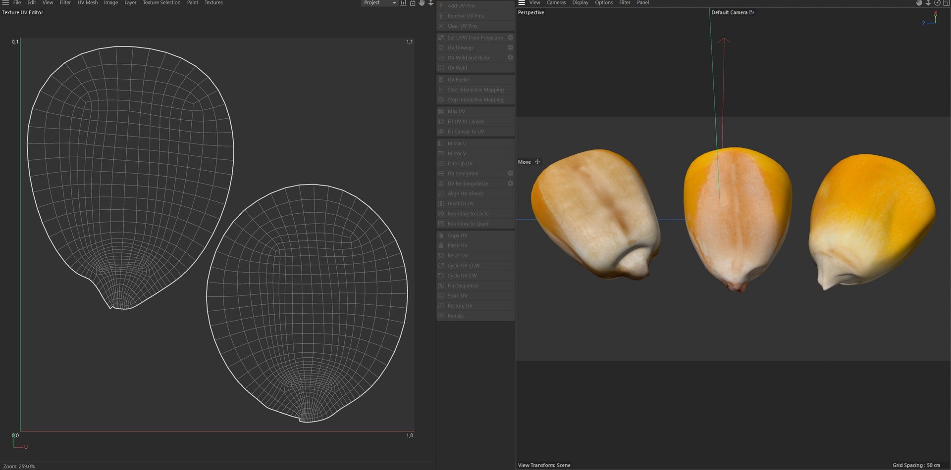 Corn Seeds 3D Model - TurboSquid 2406430