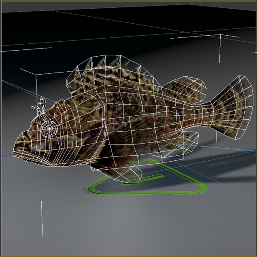 Rockfish Rigged 3d Model