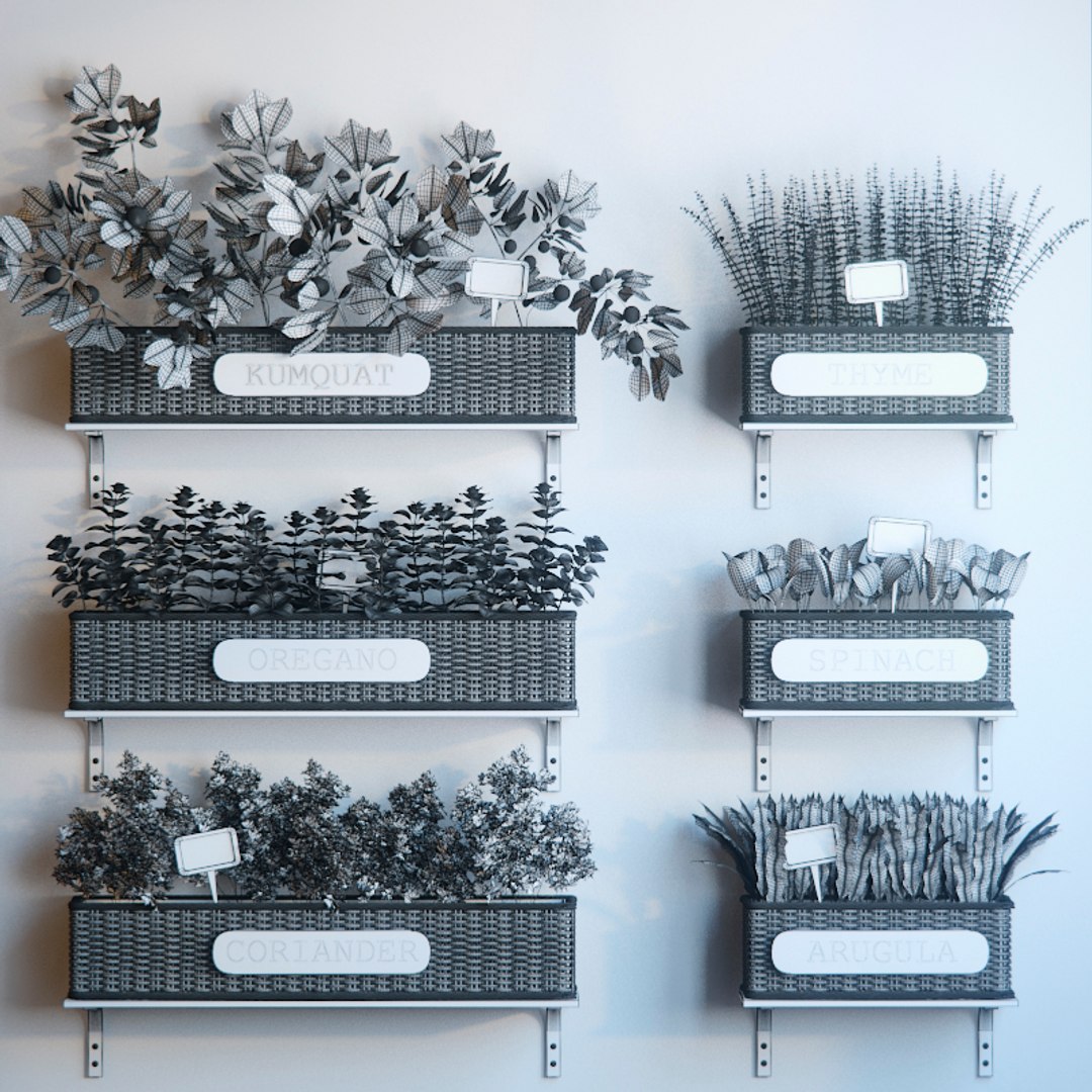 3d Model Kitchen Garden