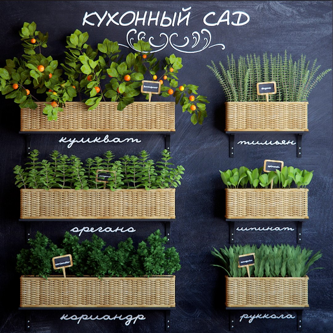 3d Model Kitchen Garden