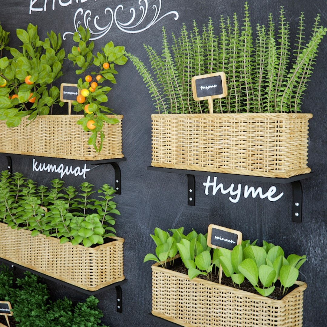3d Model Kitchen Garden