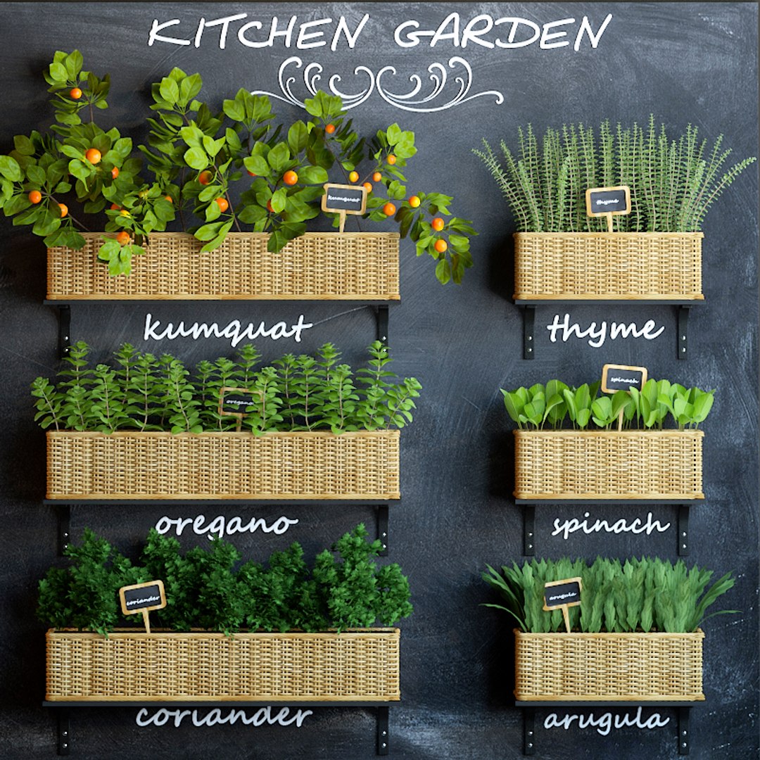 3d Model Kitchen Garden