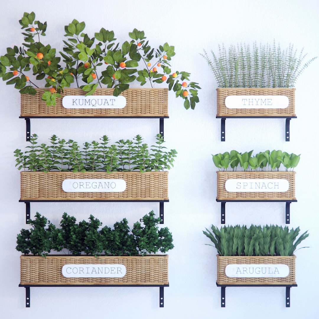 3d Model Kitchen Garden