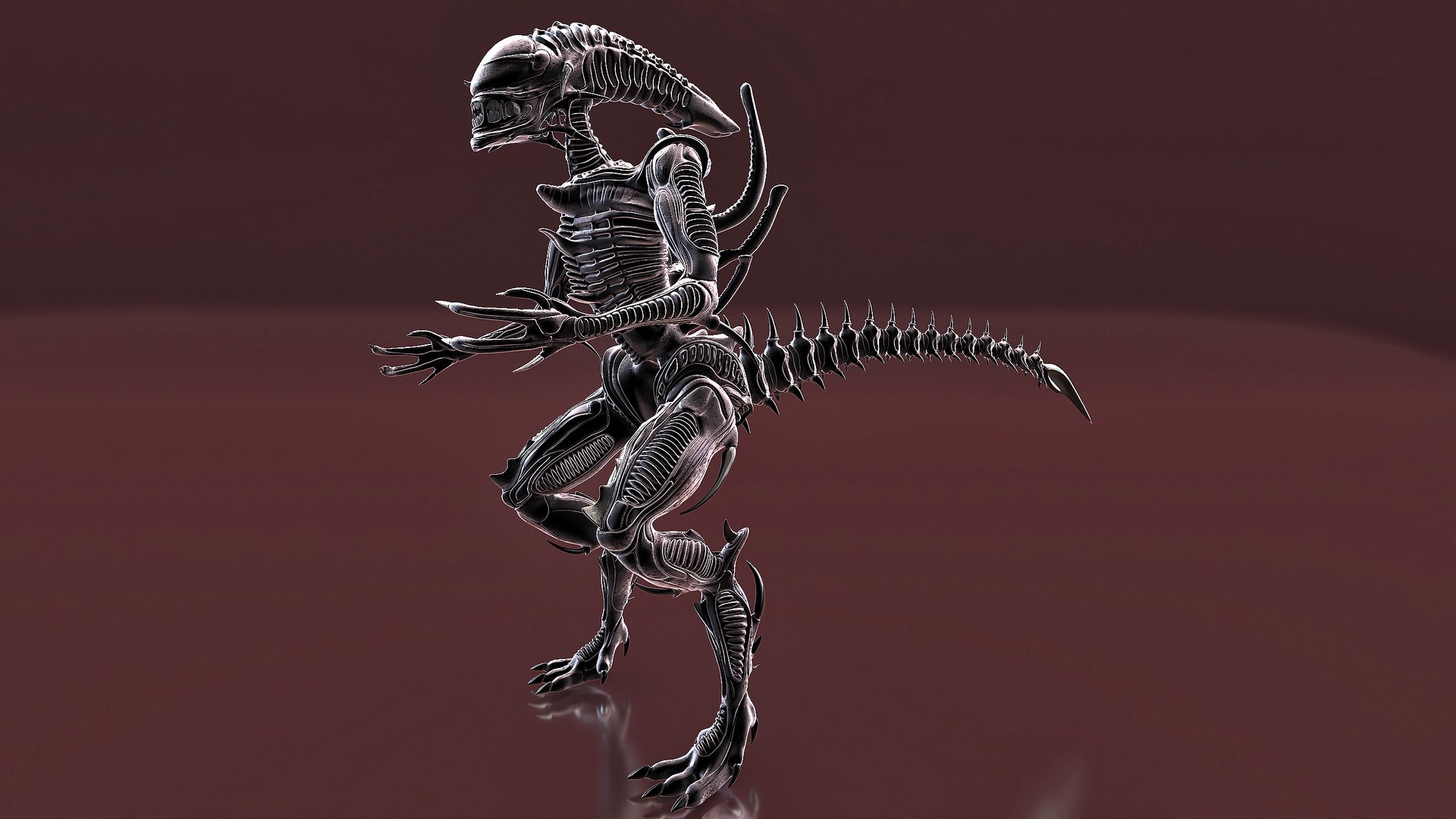 ALIEN XENOMORPH Model - TurboSquid 1902264
