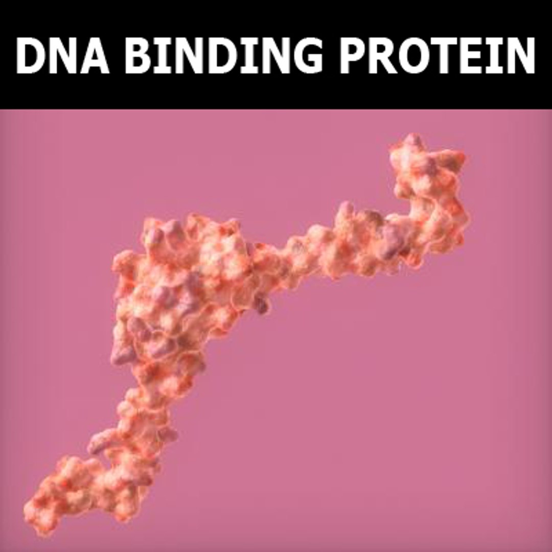 Set 20 Proteins 3d Max
