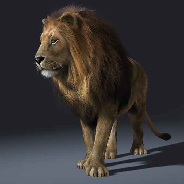 modèle 3D de Lion (2) (RIGGED) (FUR) - TurboSquid 690214