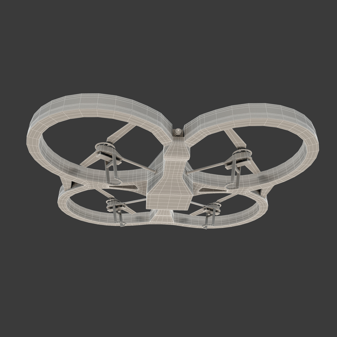 Max Parrot Drone