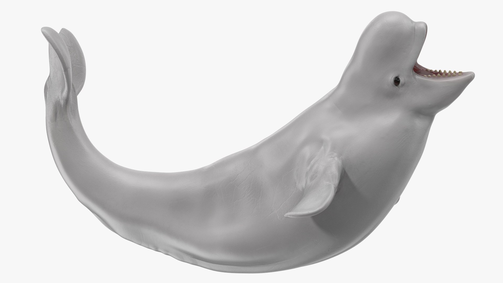 3D model Beluga Whale Young Playful Pose - TurboSquid 2028396