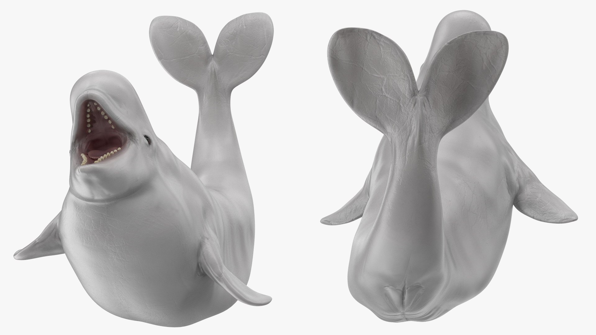3D model Beluga Whale Young Playful Pose - TurboSquid 2028396