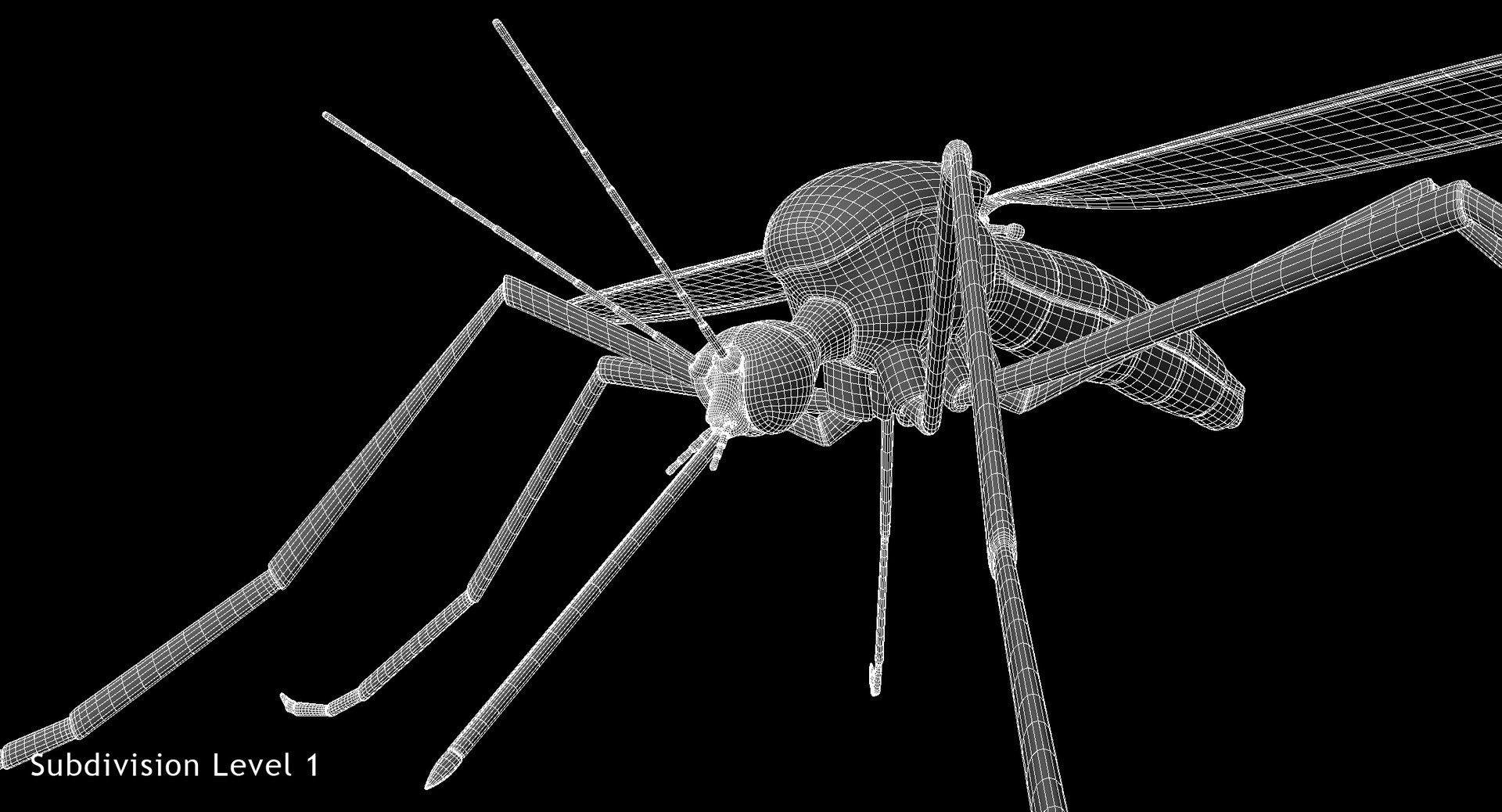 3D mosquito yellow fever animation - TurboSquid 1353727