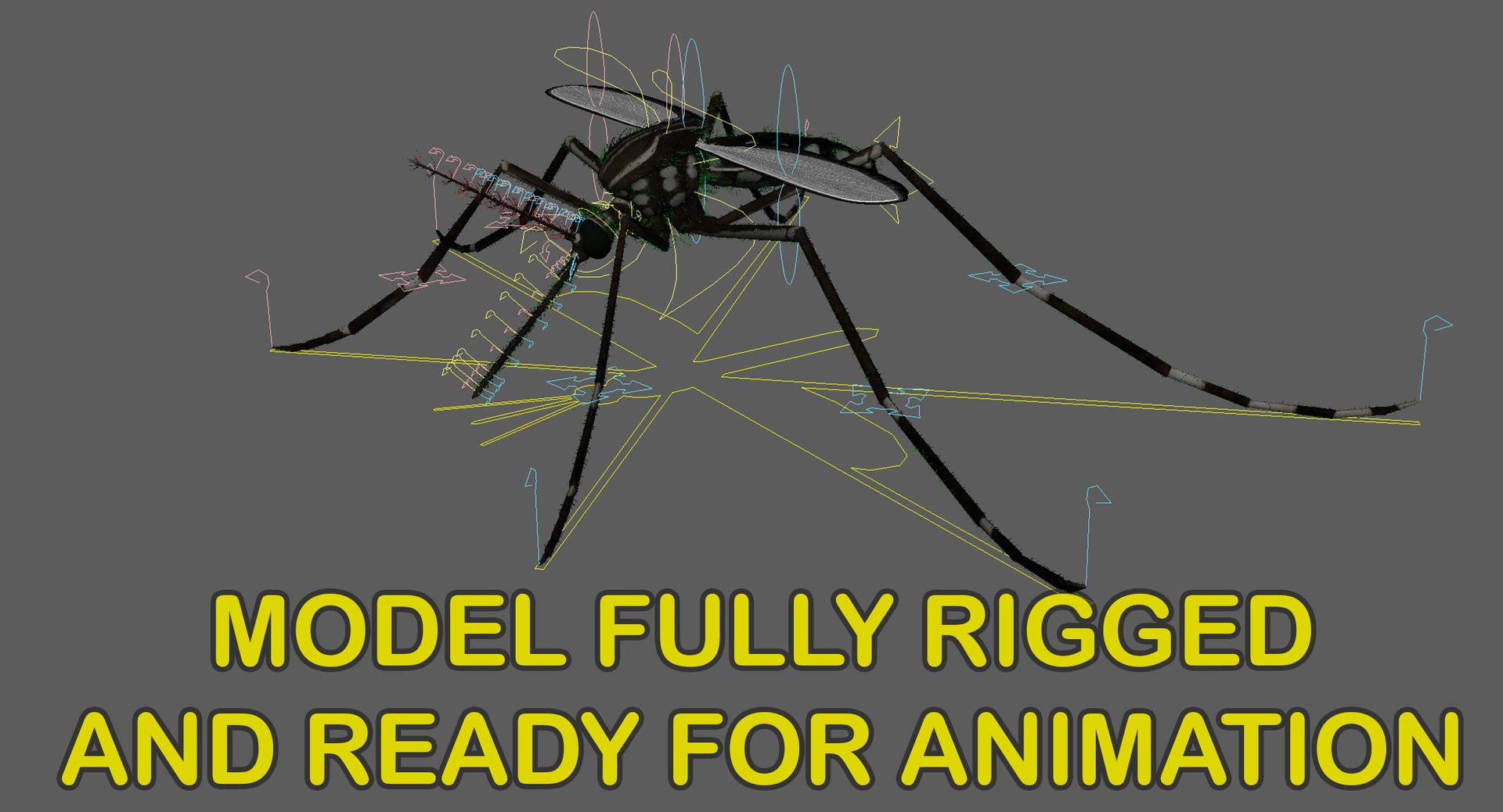 3D mosquito yellow fever animation - TurboSquid 1353727