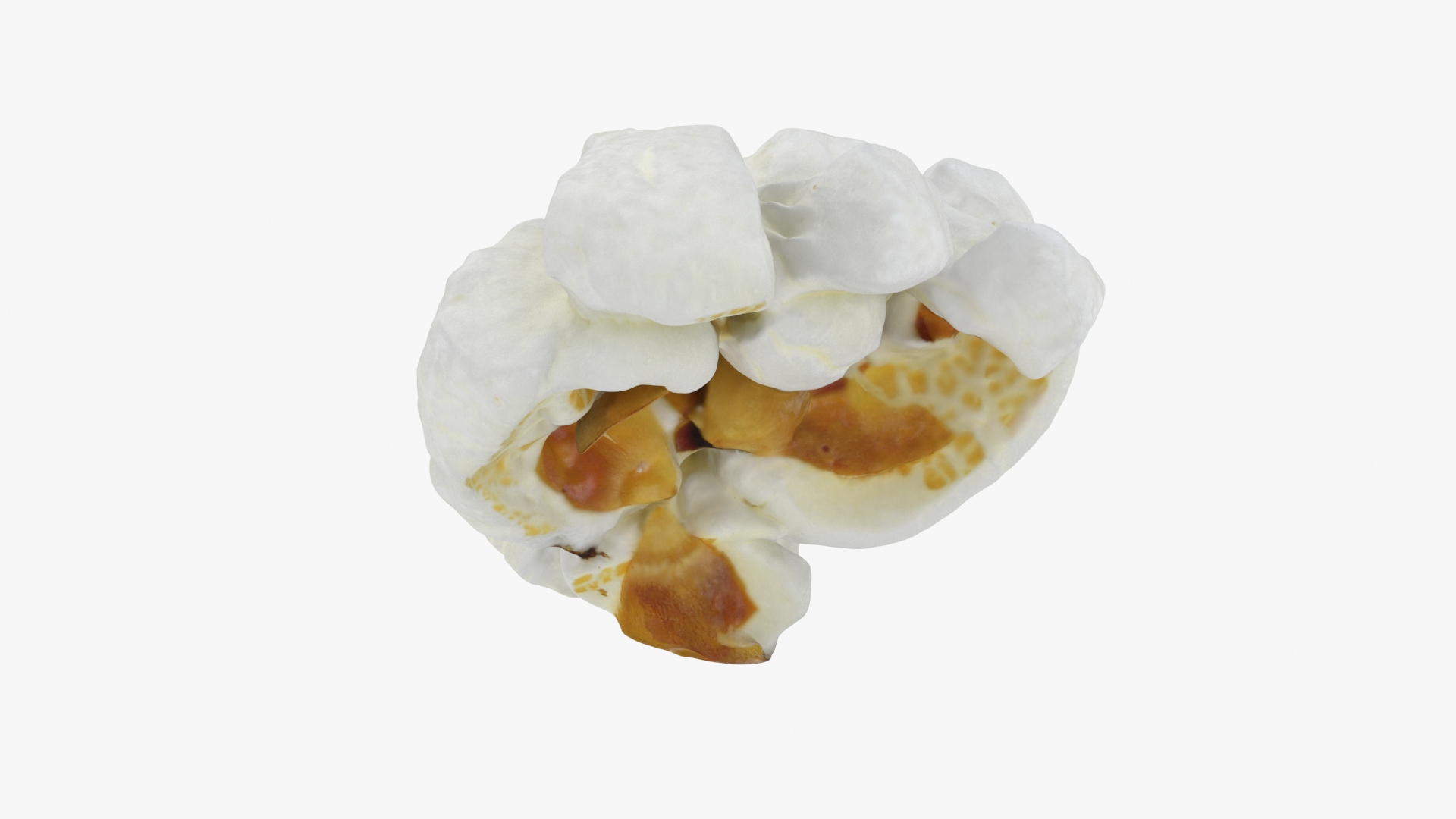 Popcorn 02 Model - TurboSquid 2254329