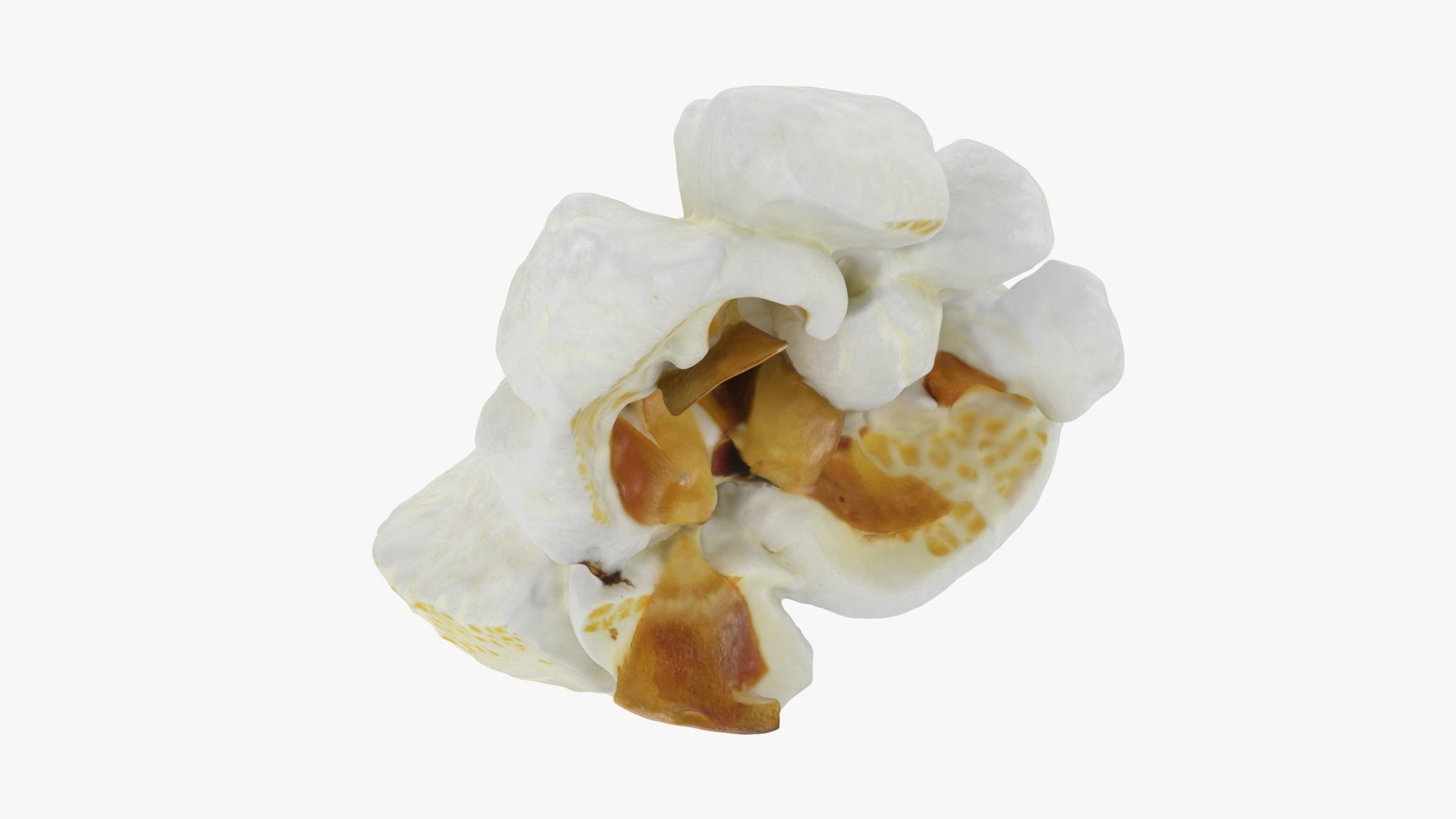 Popcorn 02 Model - TurboSquid 2254329