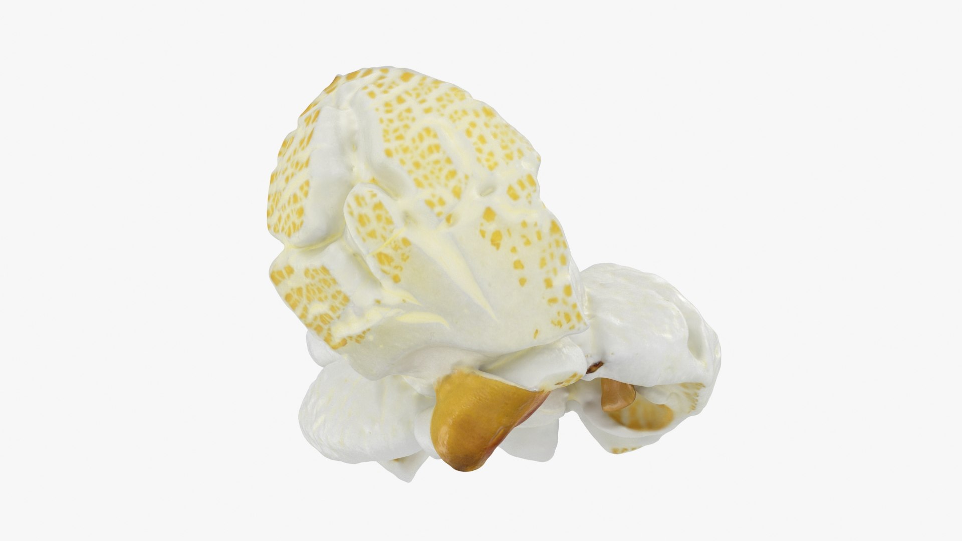 Popcorn 02 Model - TurboSquid 2254329