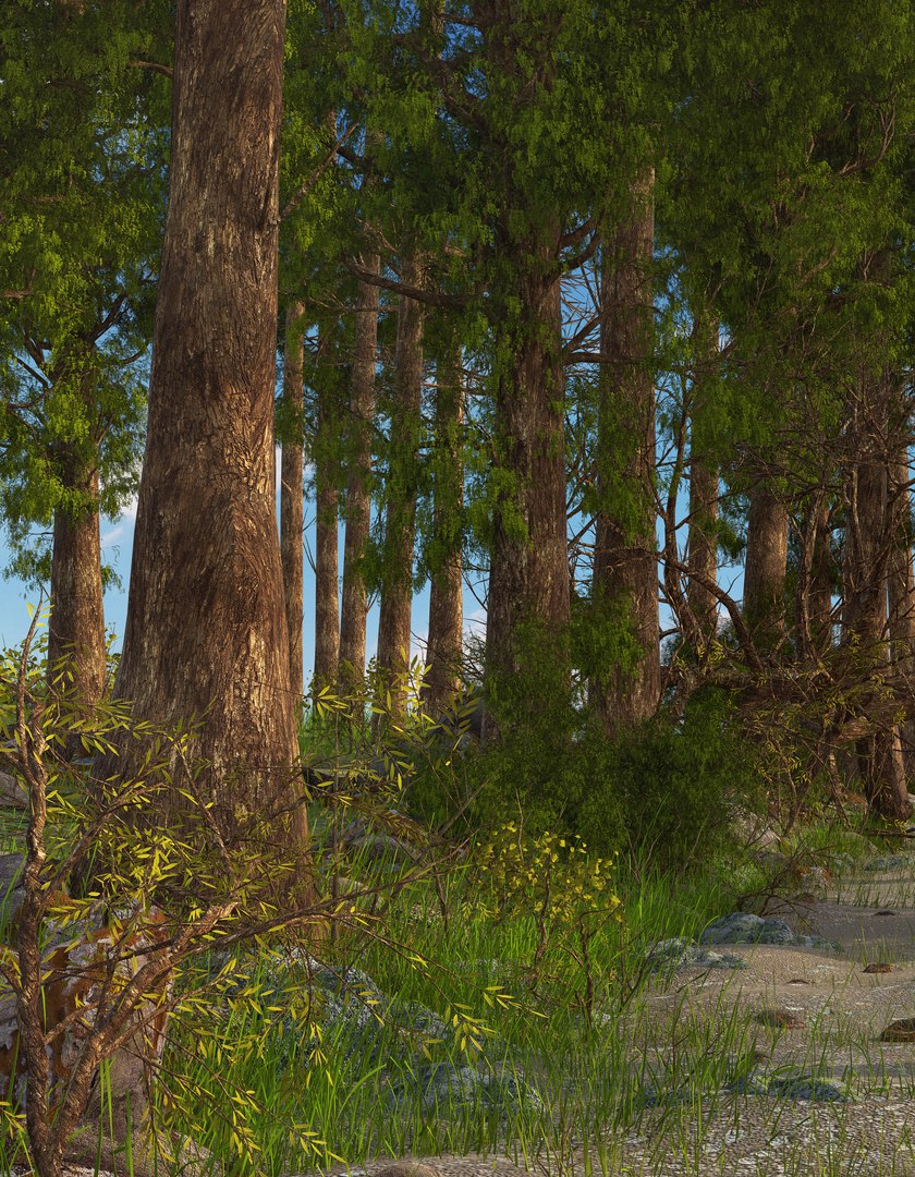 Render Arnold Model - TurboSquid 1535670