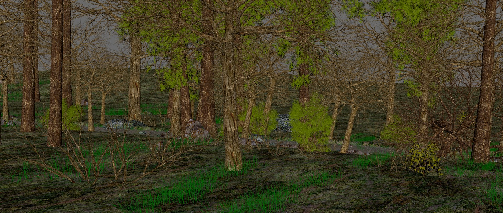 Render Arnold Model - TurboSquid 1535670