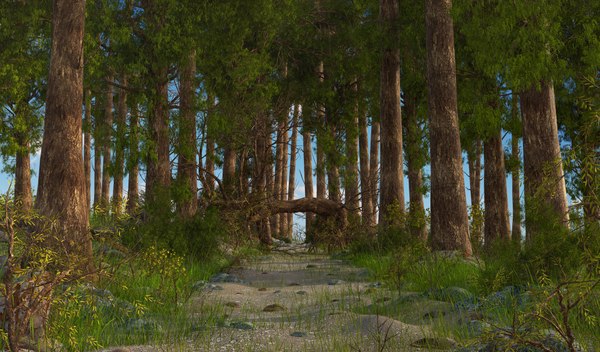 Free Maya Forest Models | TurboSquid