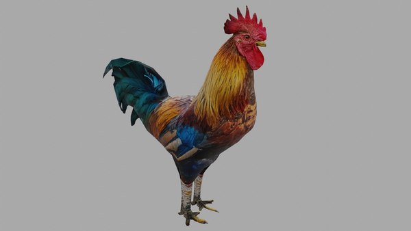 modelo 3d Rooster OBJ - TurboSquid 2064988