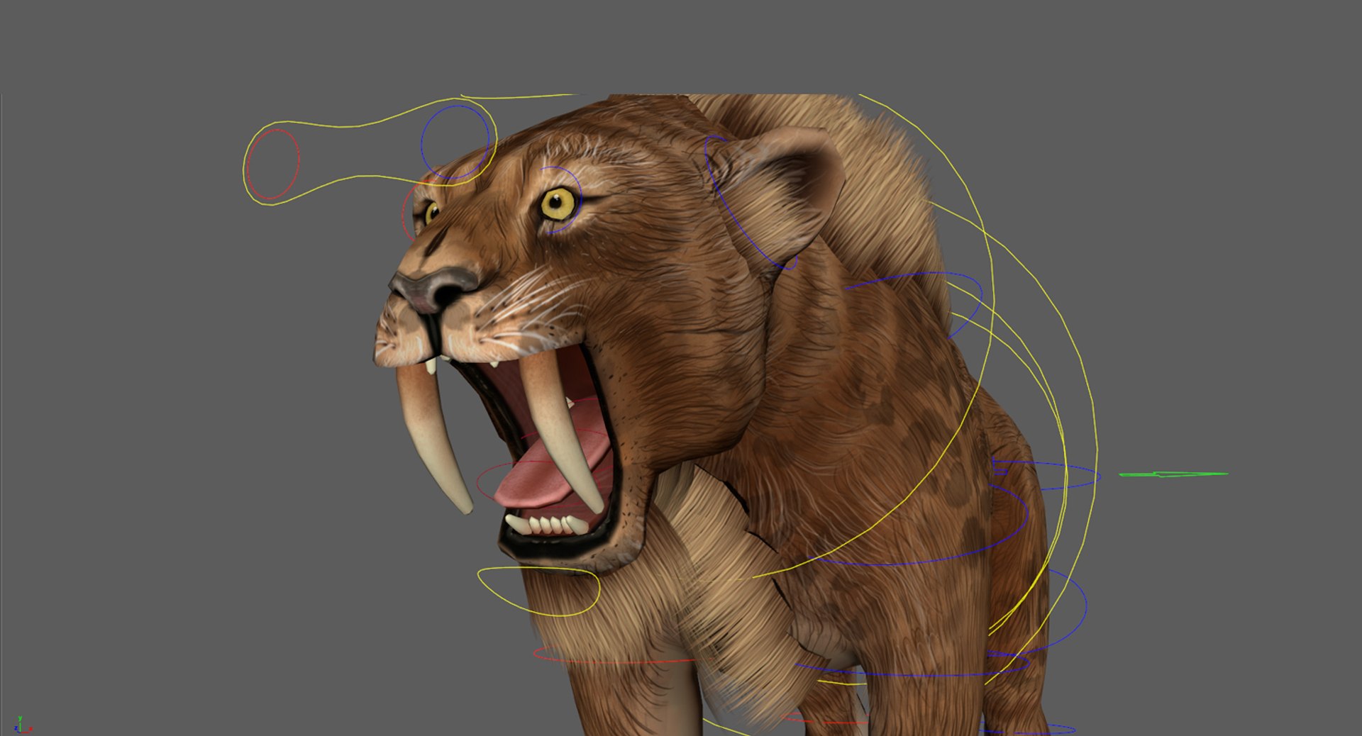 Saber tooth 3D model - TurboSquid 1598747
