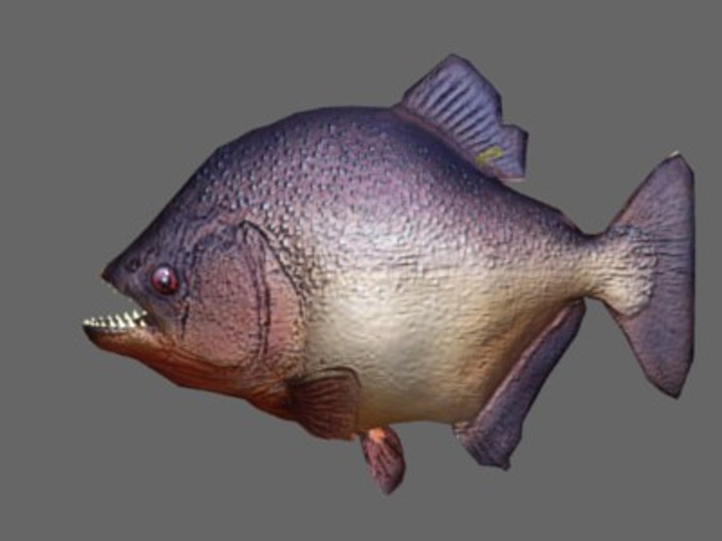 Fish 3d Model
