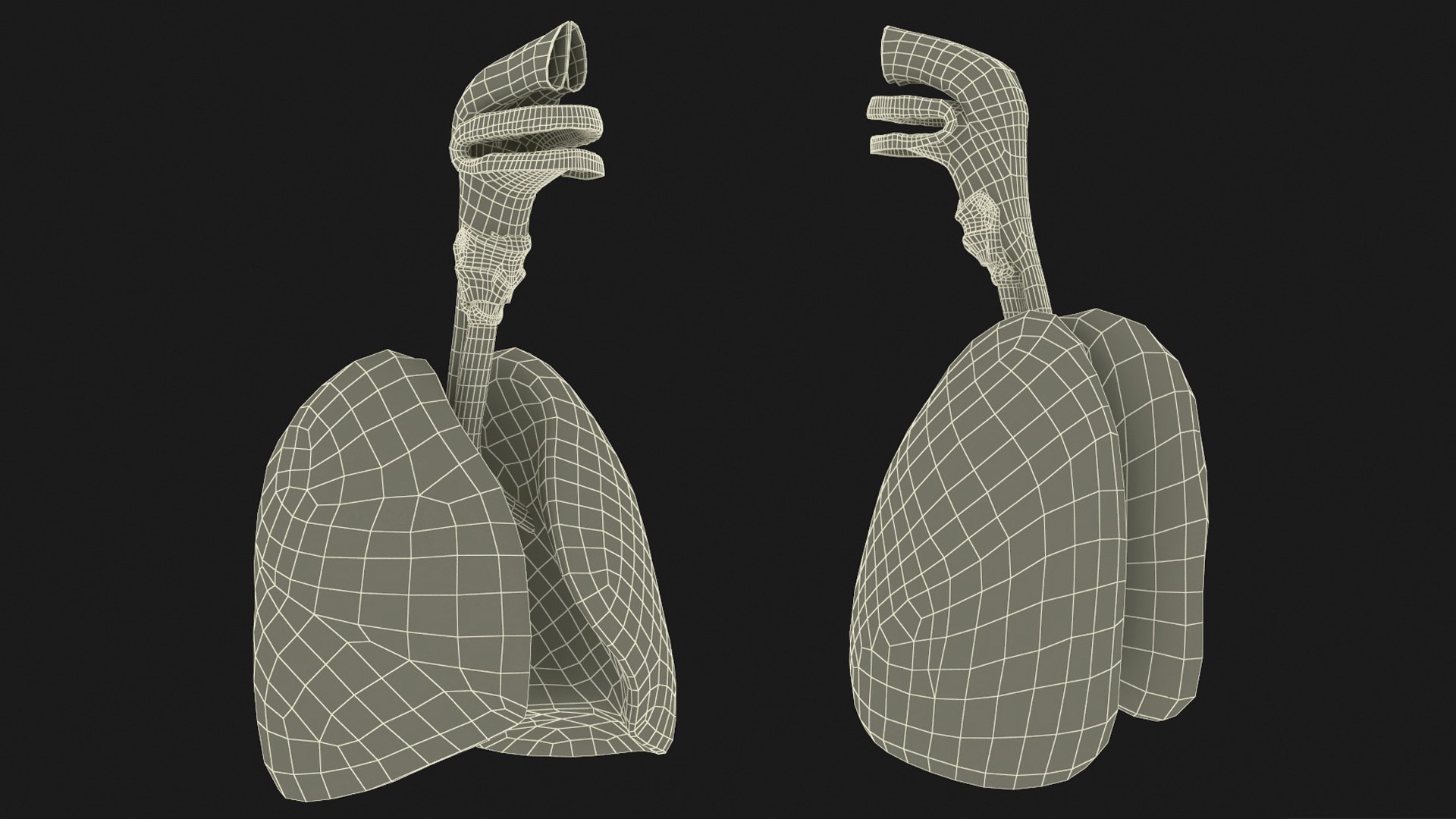 3D Human Respiratory Anatomy System Model - TurboSquid 2386161