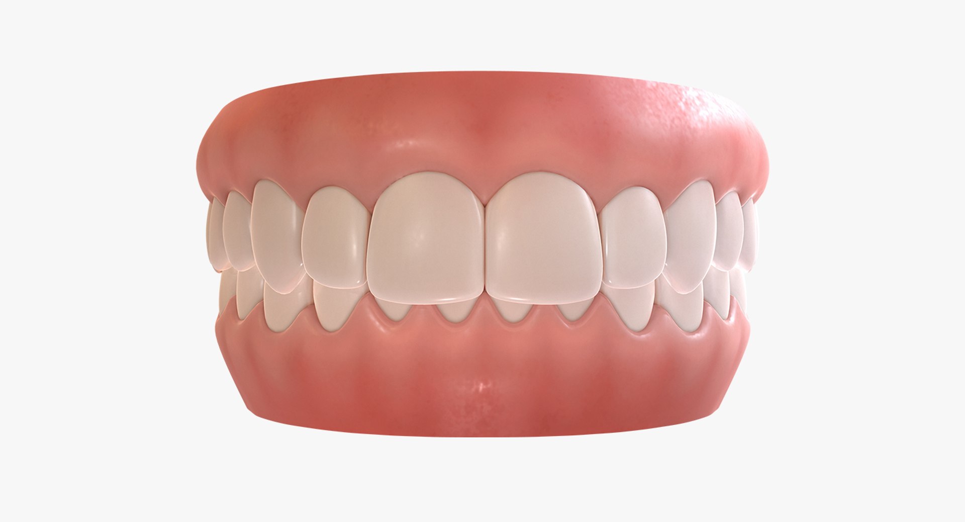 Teeth Pbr Marmoset 3d Model