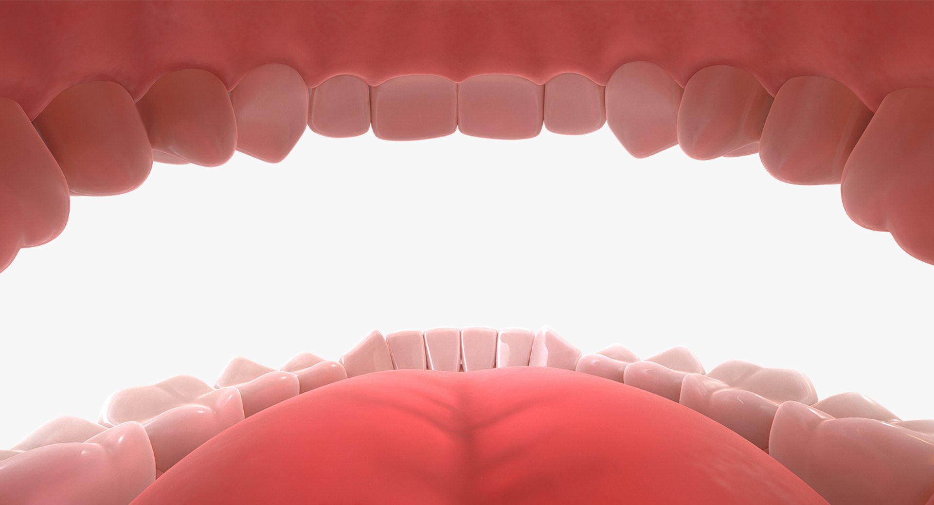 Teeth Pbr Marmoset 3d Model