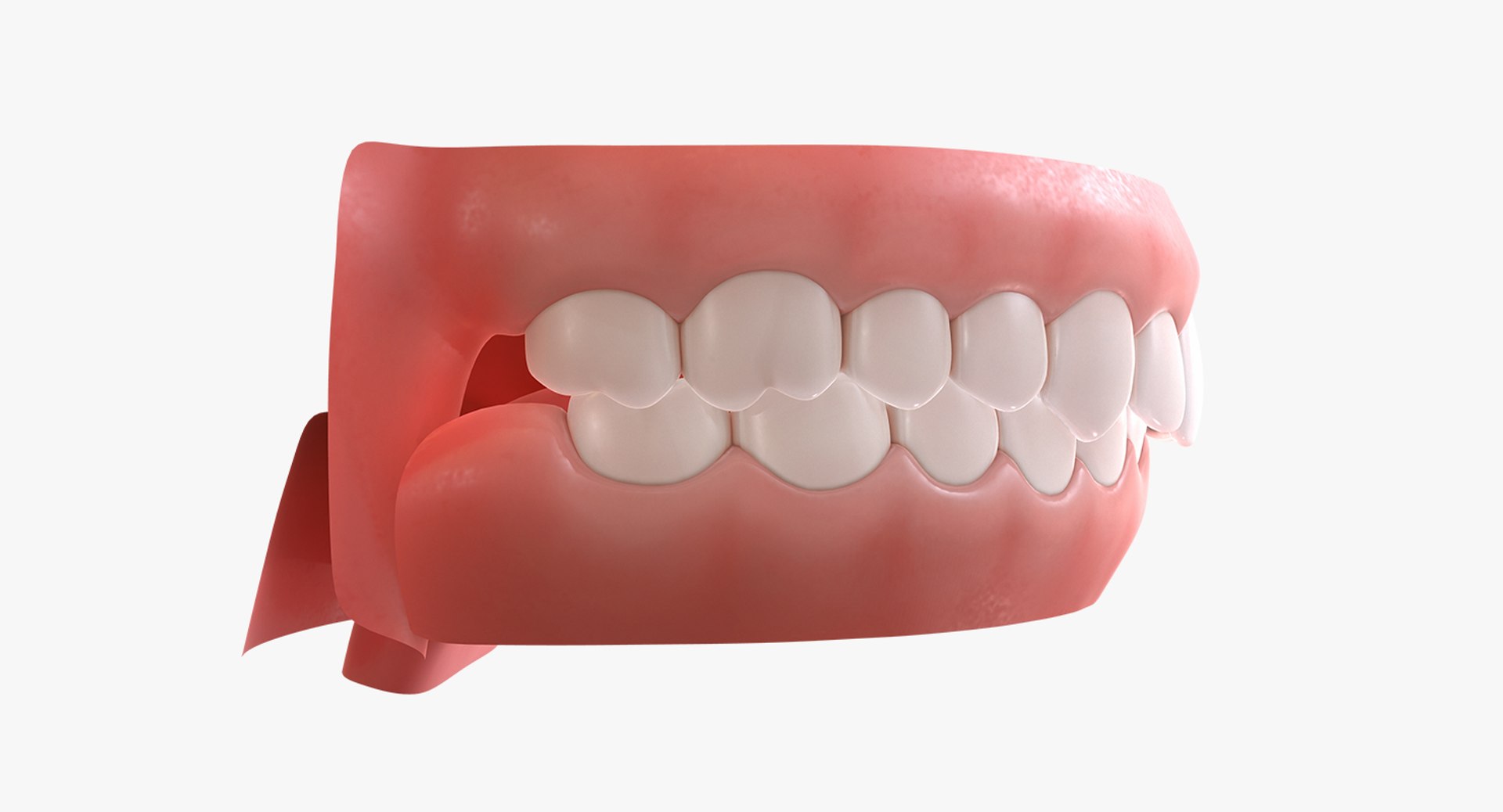 Teeth Pbr Marmoset 3d Model