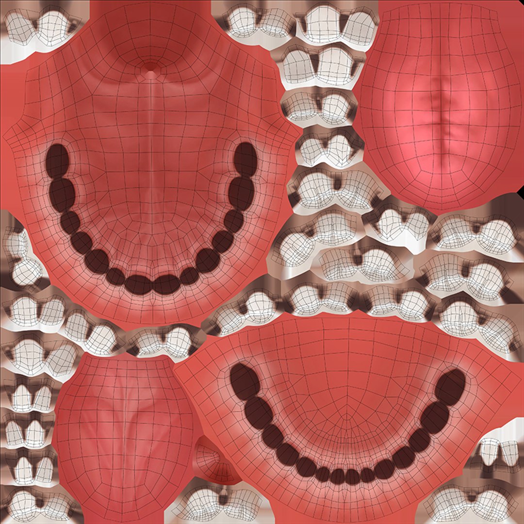 Teeth Pbr Marmoset 3d Model